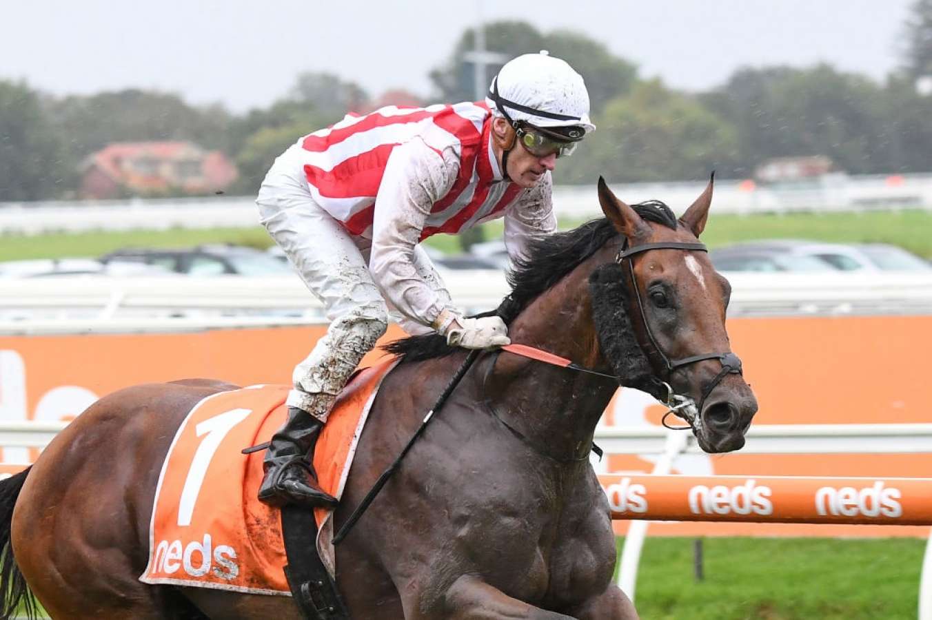 Super Seth returns in style in G3 Manfred