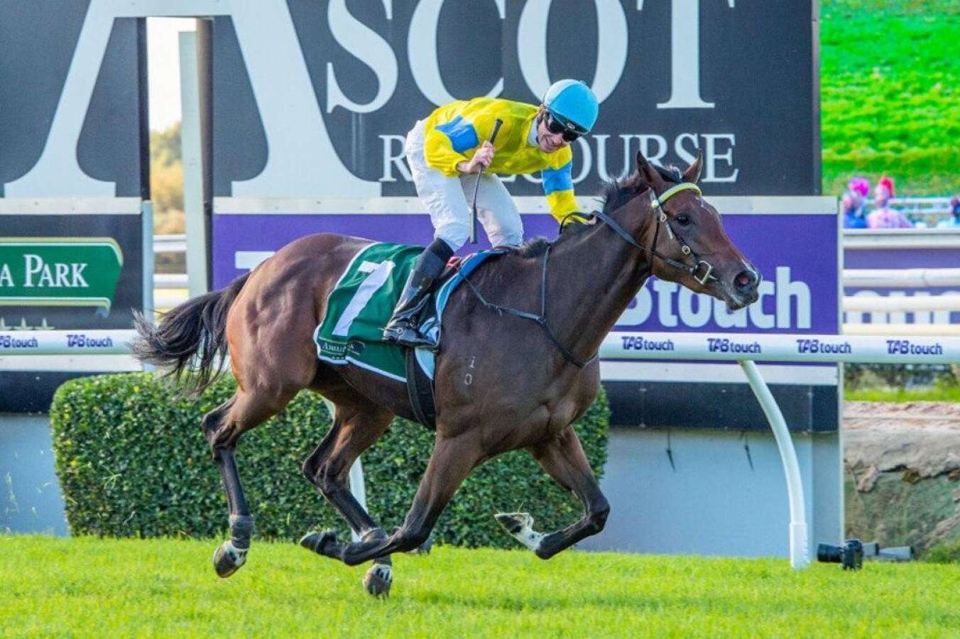 Ladbrokes snap up three-year-old filly Super Smink for The Quokka