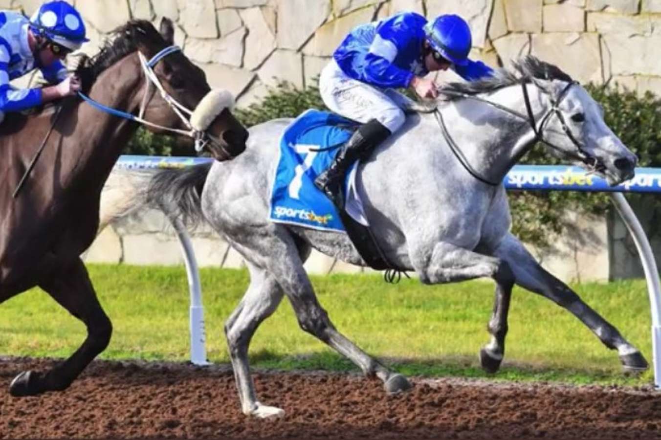 Trainer Reece Goodwin's change of fortune after narrowly missing out on ...