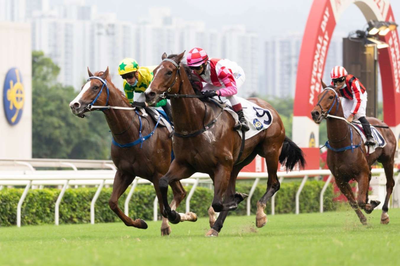 David Hayes hopes Super Wealthy can shine in Centenary Sprint Cup