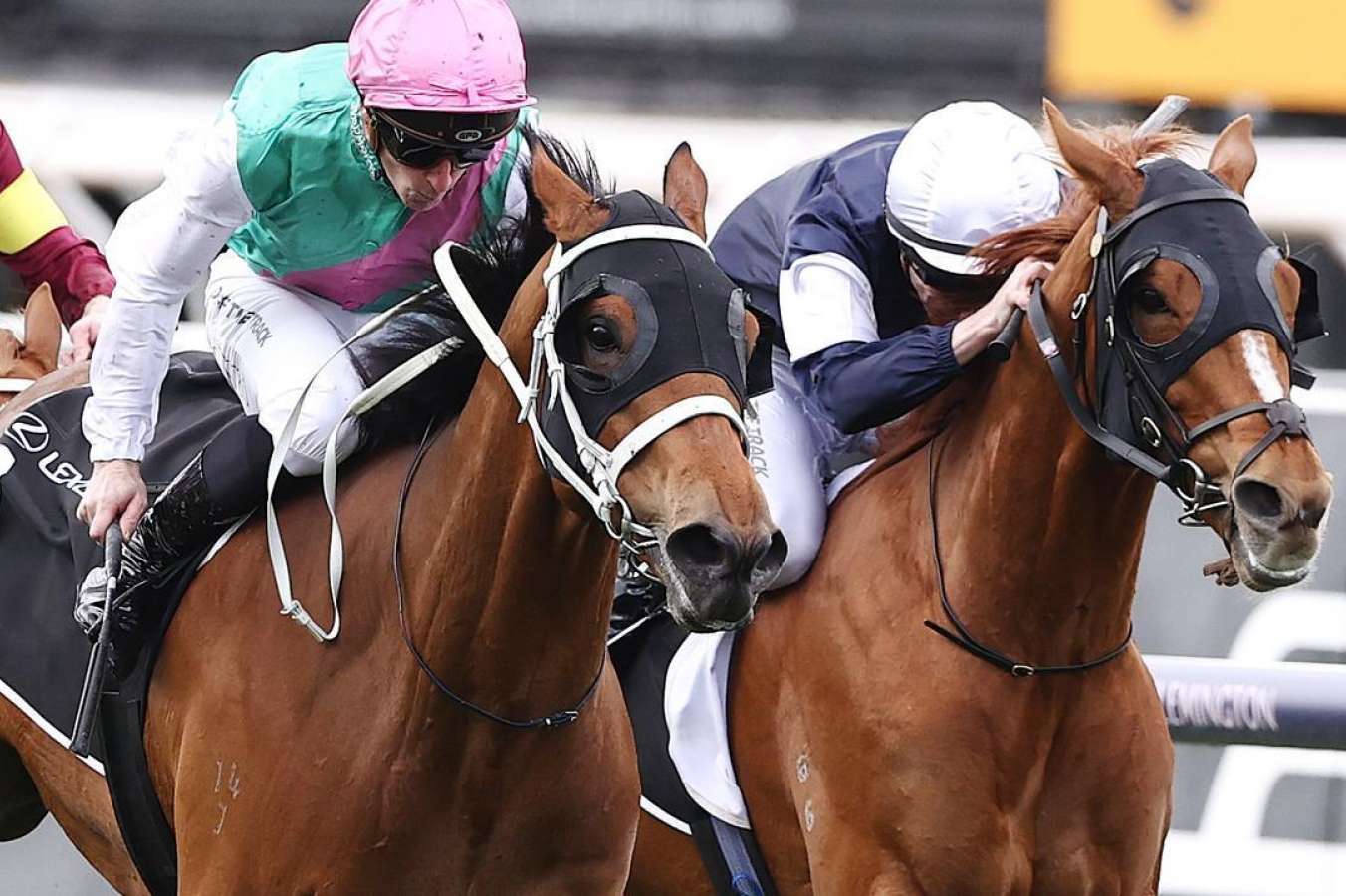 Serpentine gains spot in Melbourne Cup with second in Archer Stakes