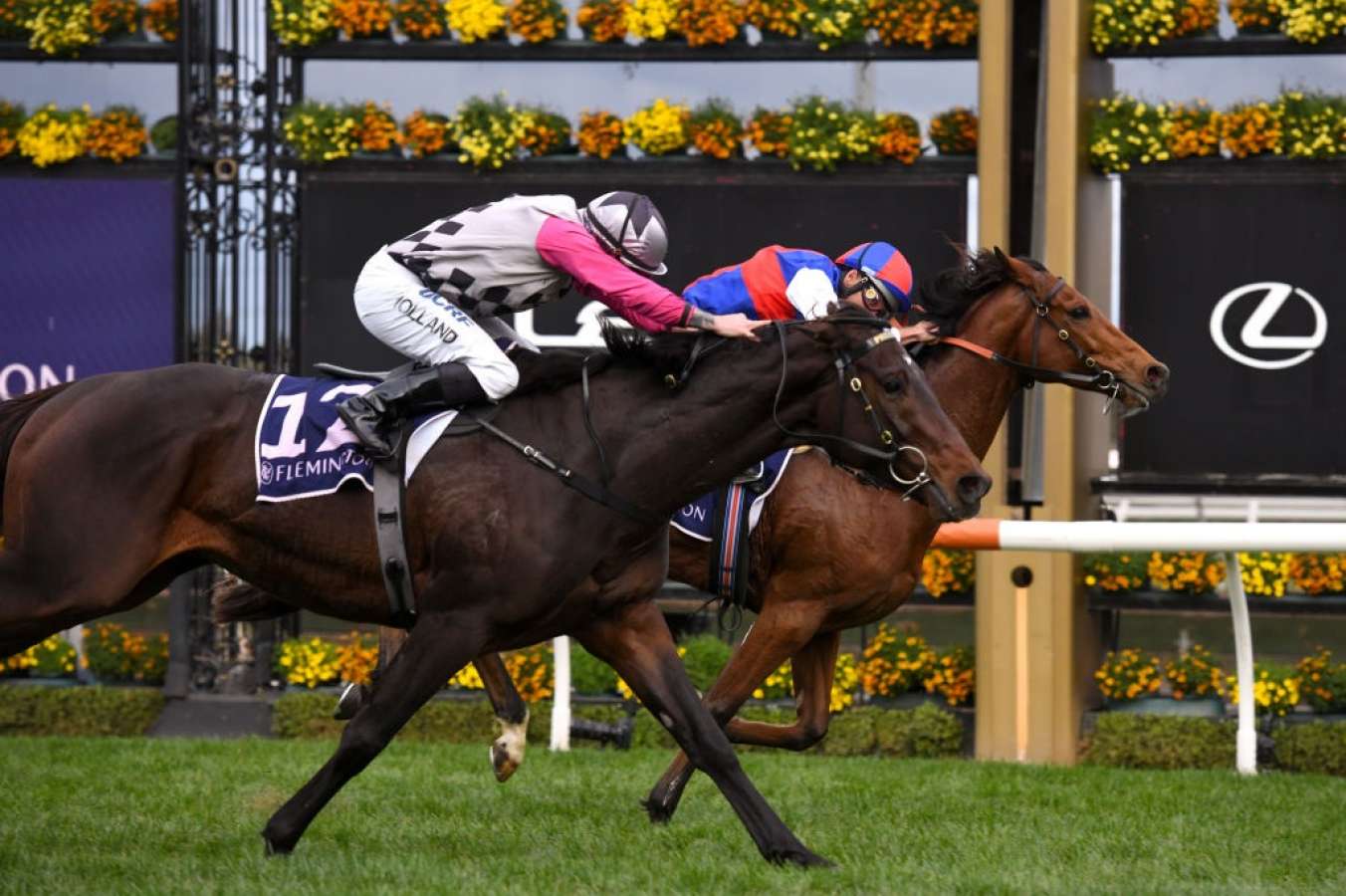 Top stayer Surprise Baby gets green light for comeback