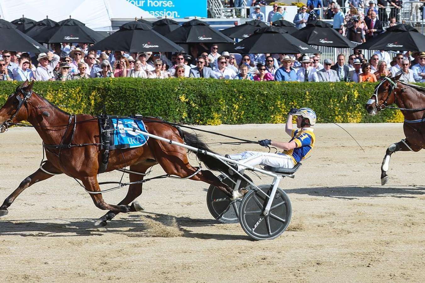 Swayzee locked and loaded for Inter Dominion showdown