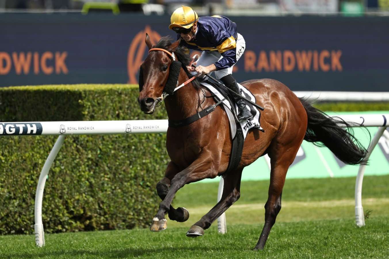 Swiftfalcon swoopes to victory in the Listed Dulcify Stakes at Randwick