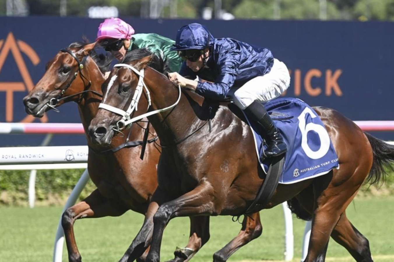 Gun colt Switzerland has surgery following Golden Slipper