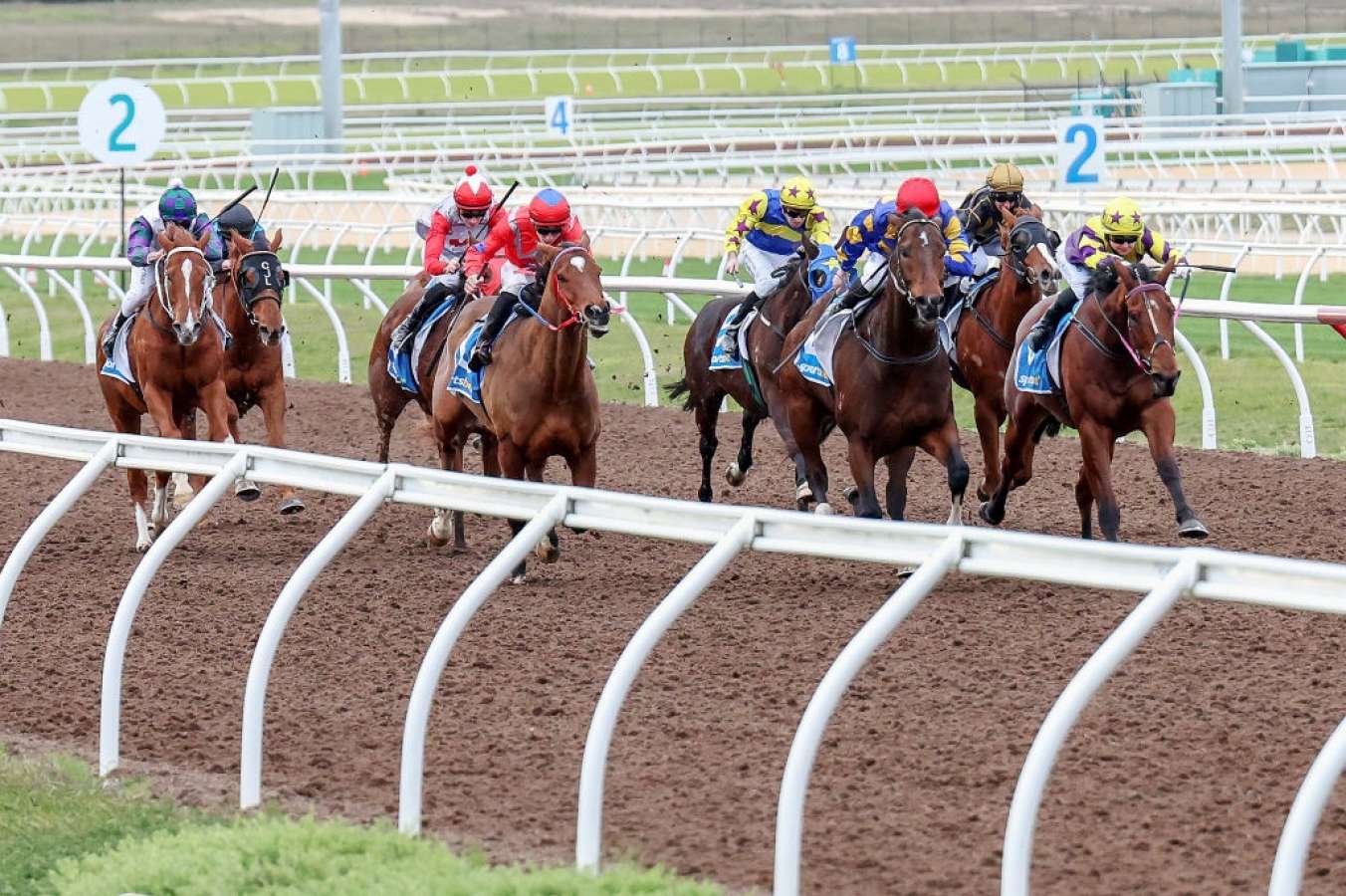 Trainers debate whether NSW needs a polytrack similar to other states