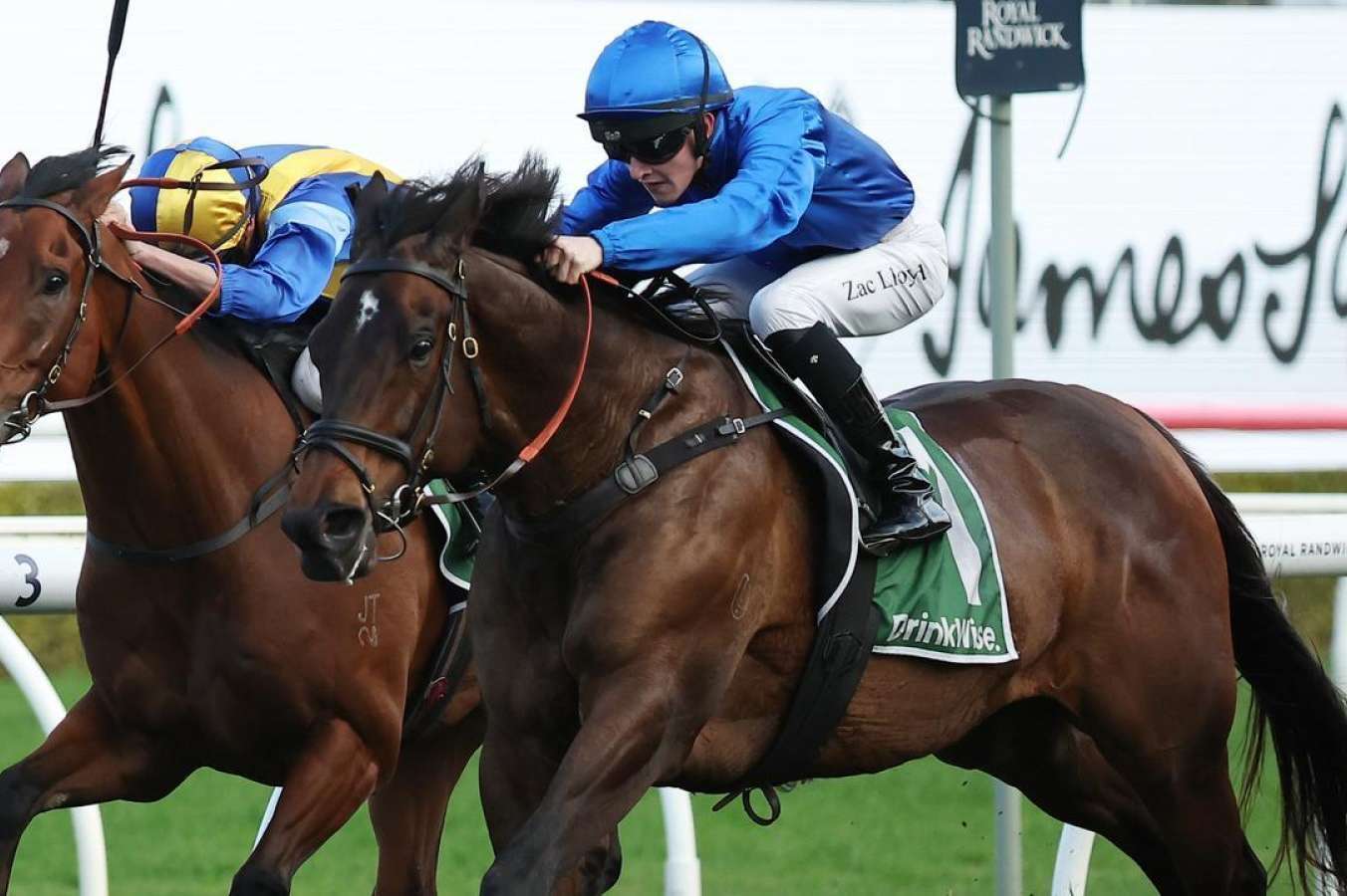 2024 Winter Challenge at Rosehill: Tamerlane's record double bid