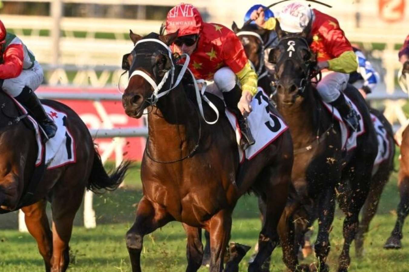 Runner-by runner-analysis: Queensland Derby