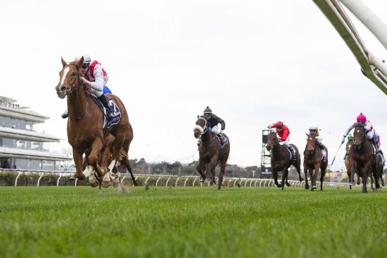 Sandown Lakeside punters latch onto Peter Moody filly with Giga Kick form