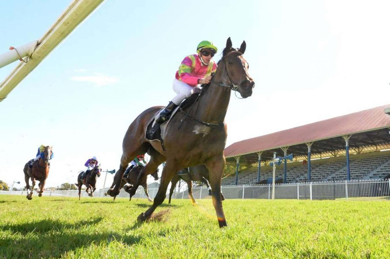 Best bets for Canterbury and Grafton: Wednesday, July 12