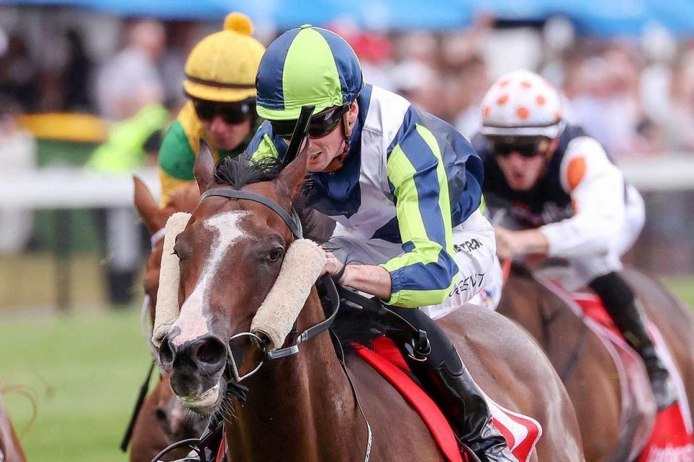 Taunting dismisses rivals with ease in Apache Cat Classic