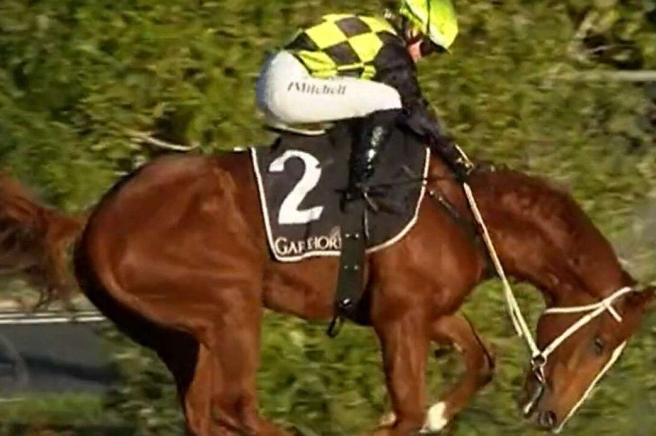 Video goes viral as apprentice Tayla Mitchell praised for outstanding ...