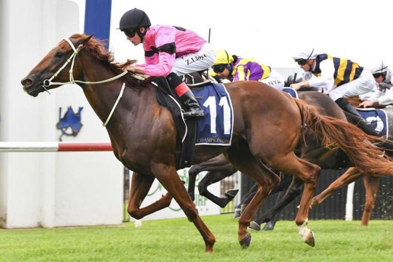 The Gong - Runner-by-runner form analysis and tips