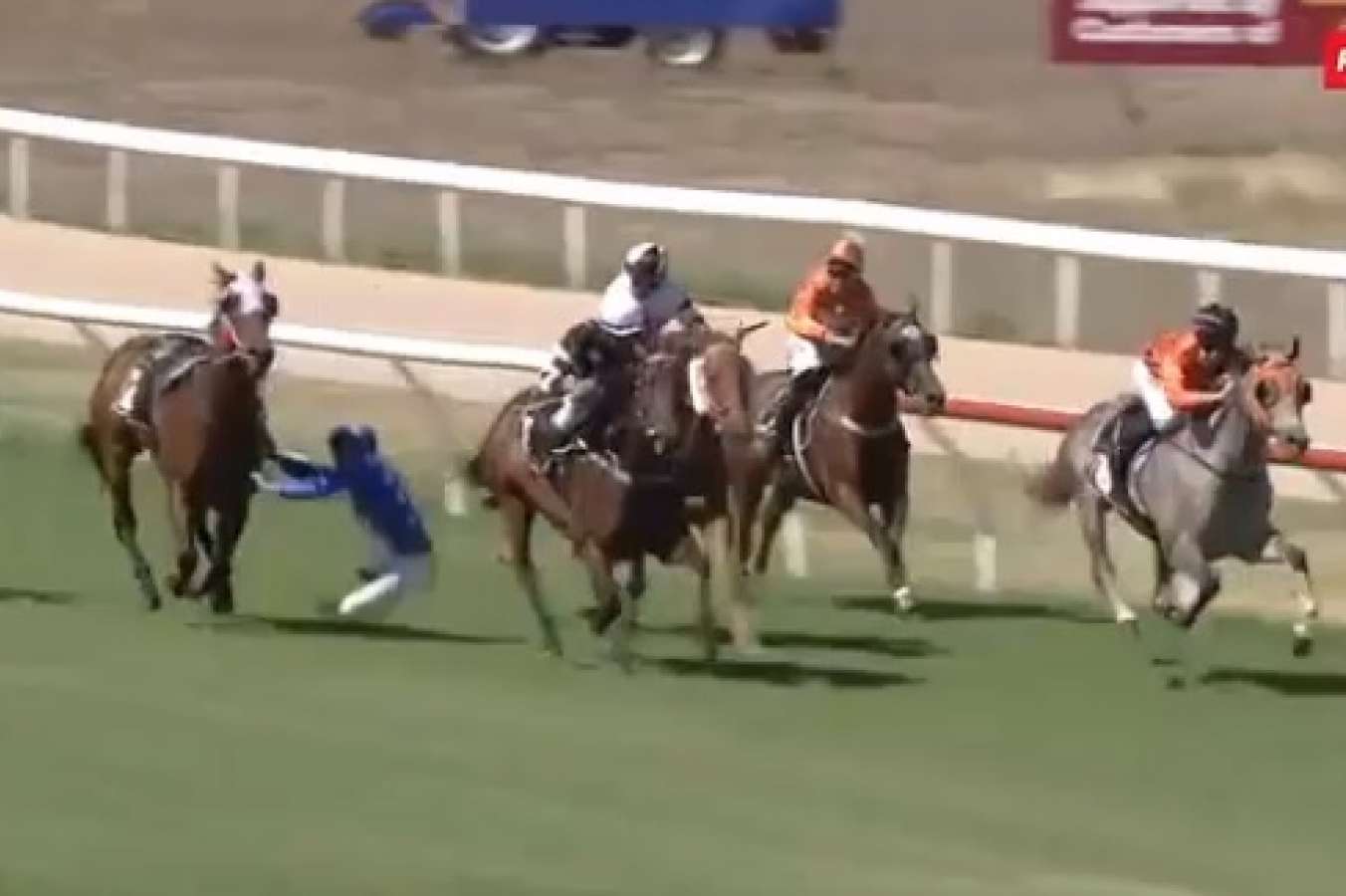 Hurdle avoids serious injury in SA fall