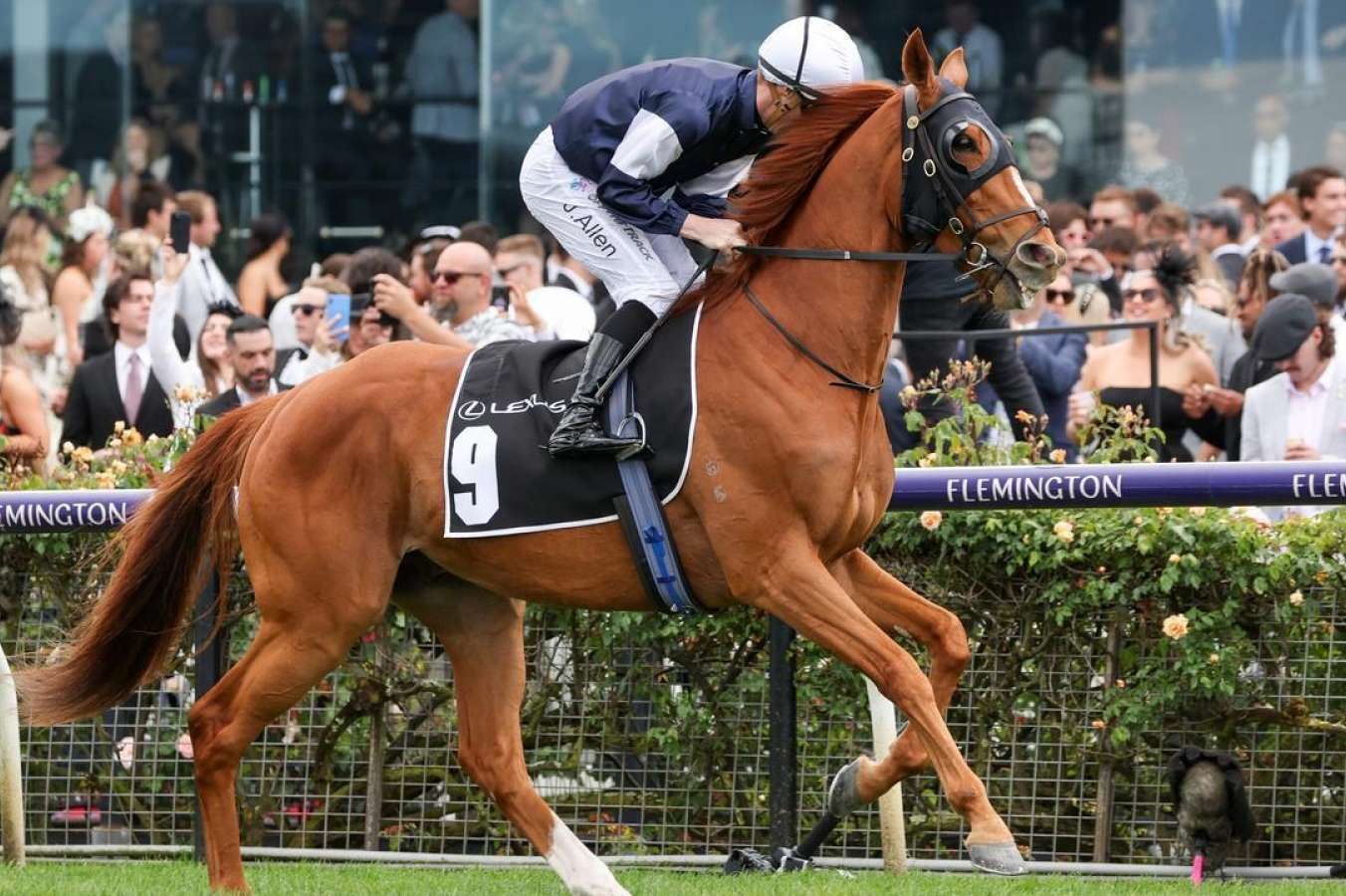 Melbourne Cup contender Serpentine restarts for Gai Waterhouse