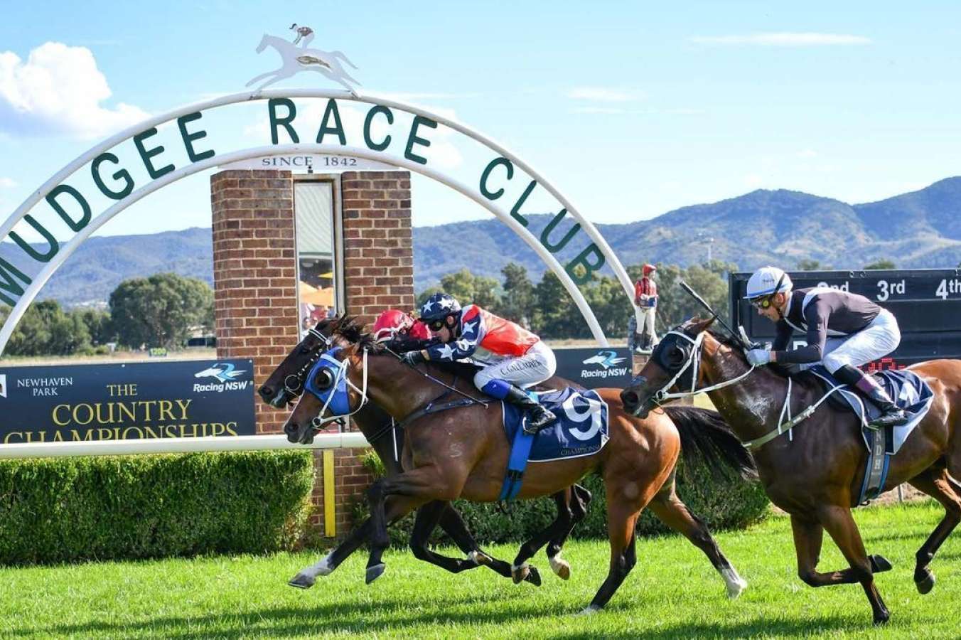 Mudgee contest declared a no-race after being run 150m longer