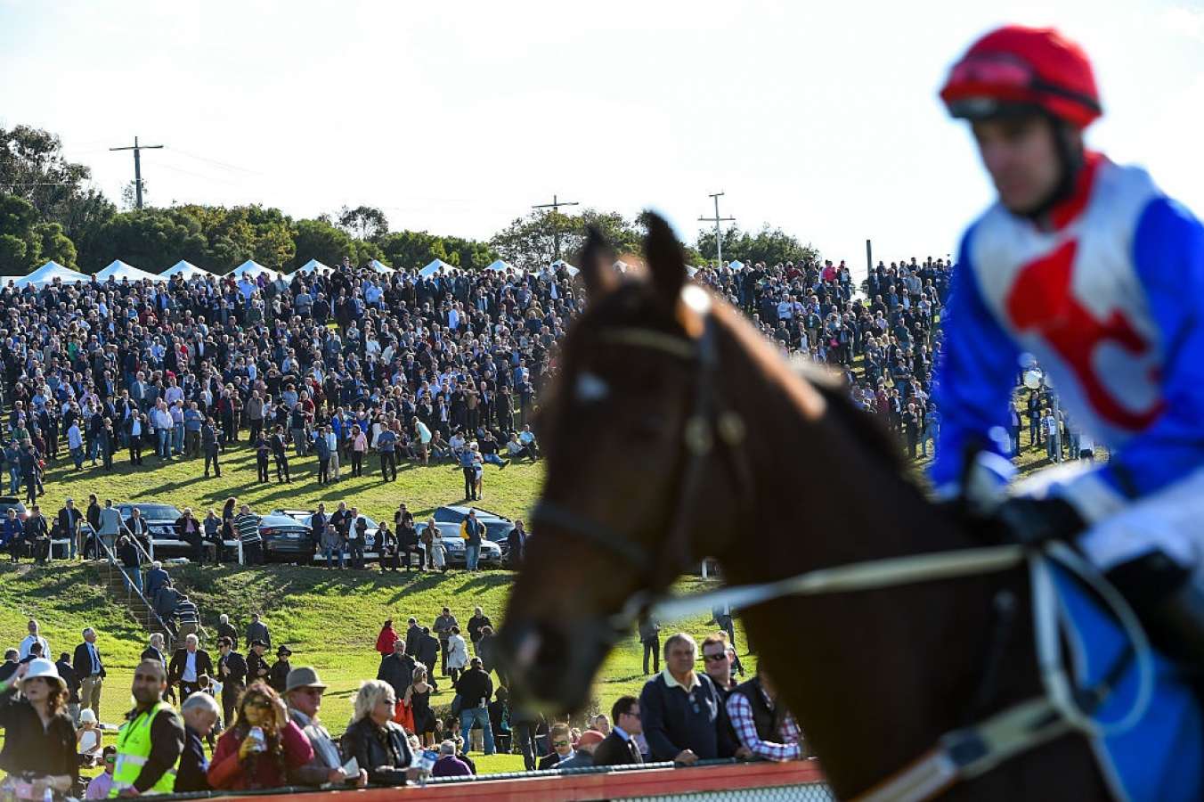Warrnambool carnival: The week that was