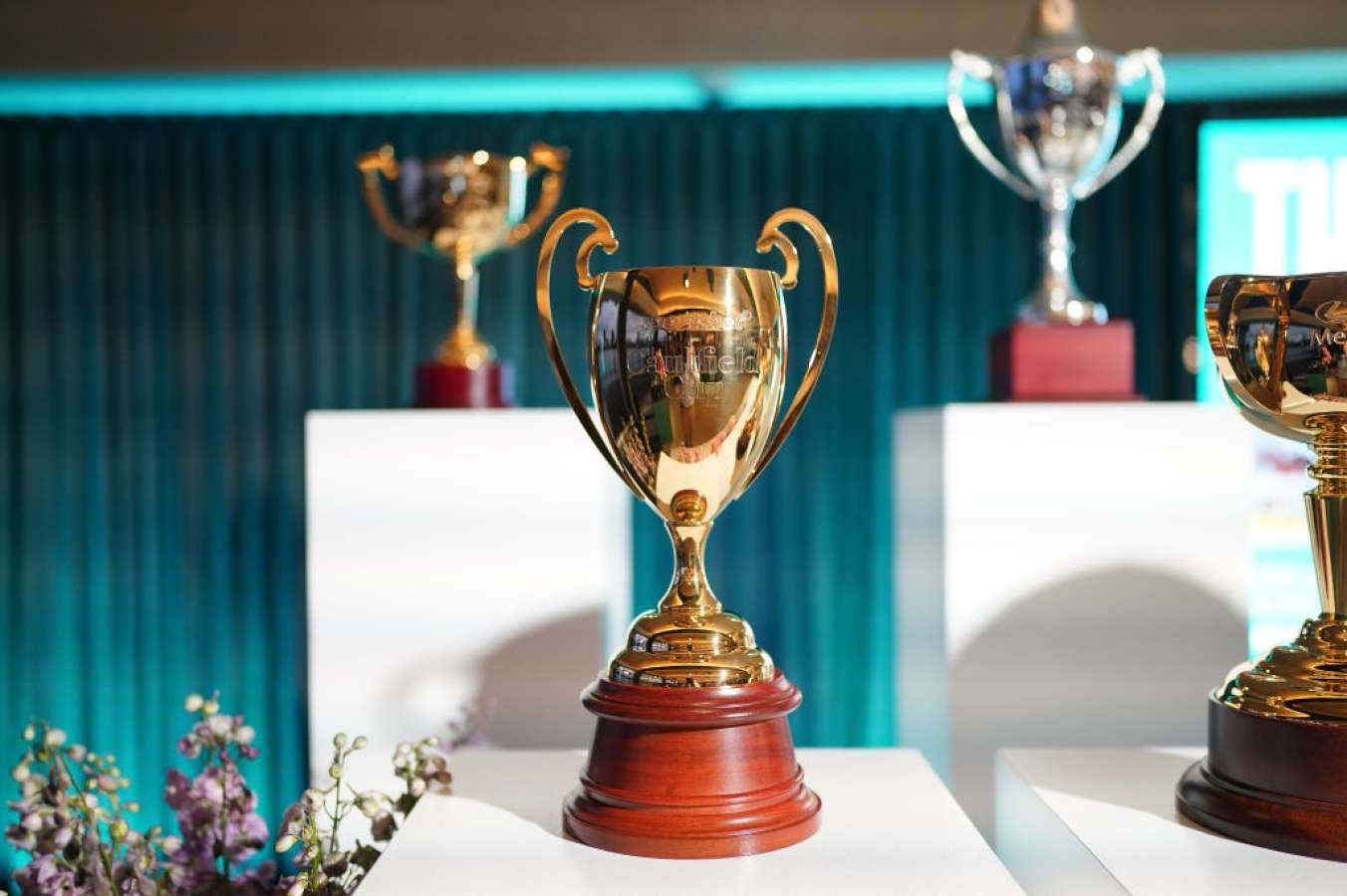 2024 The Everest, King Charles, Caulfield Cup expert tips