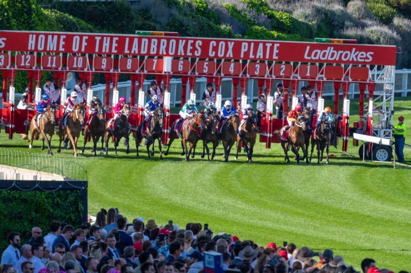 Cox Plate day preview and tips for The Valley: Saturday, October 26