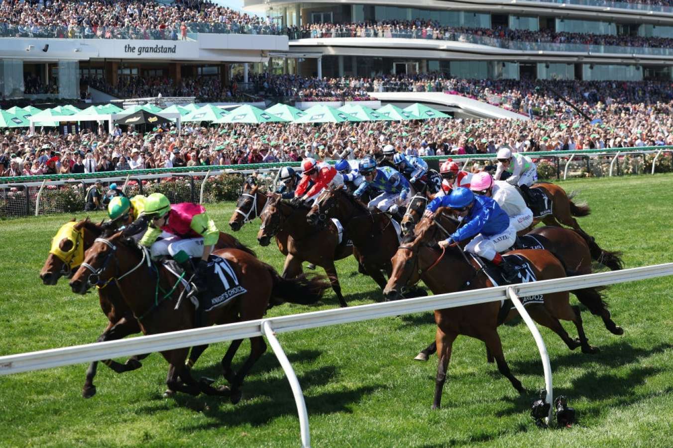 Melbourne Cup two-word performance reviews