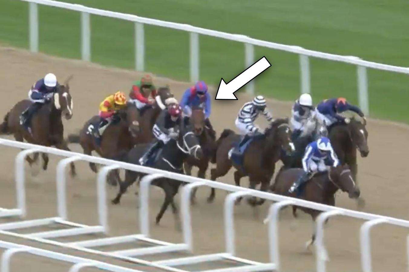 Things You Might Have Missed - November 18