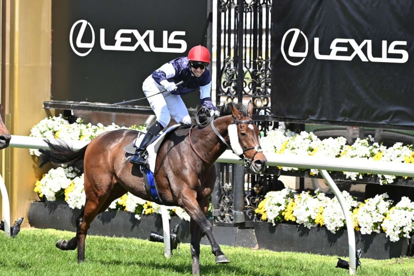 Pair of big-hitters to unveil Australian debutant in provincial maiden