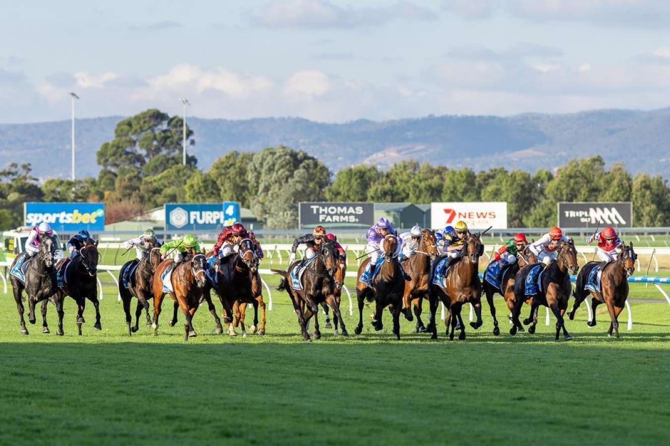 Ryan Stanaway announced as Racing SA's new chief operating officer