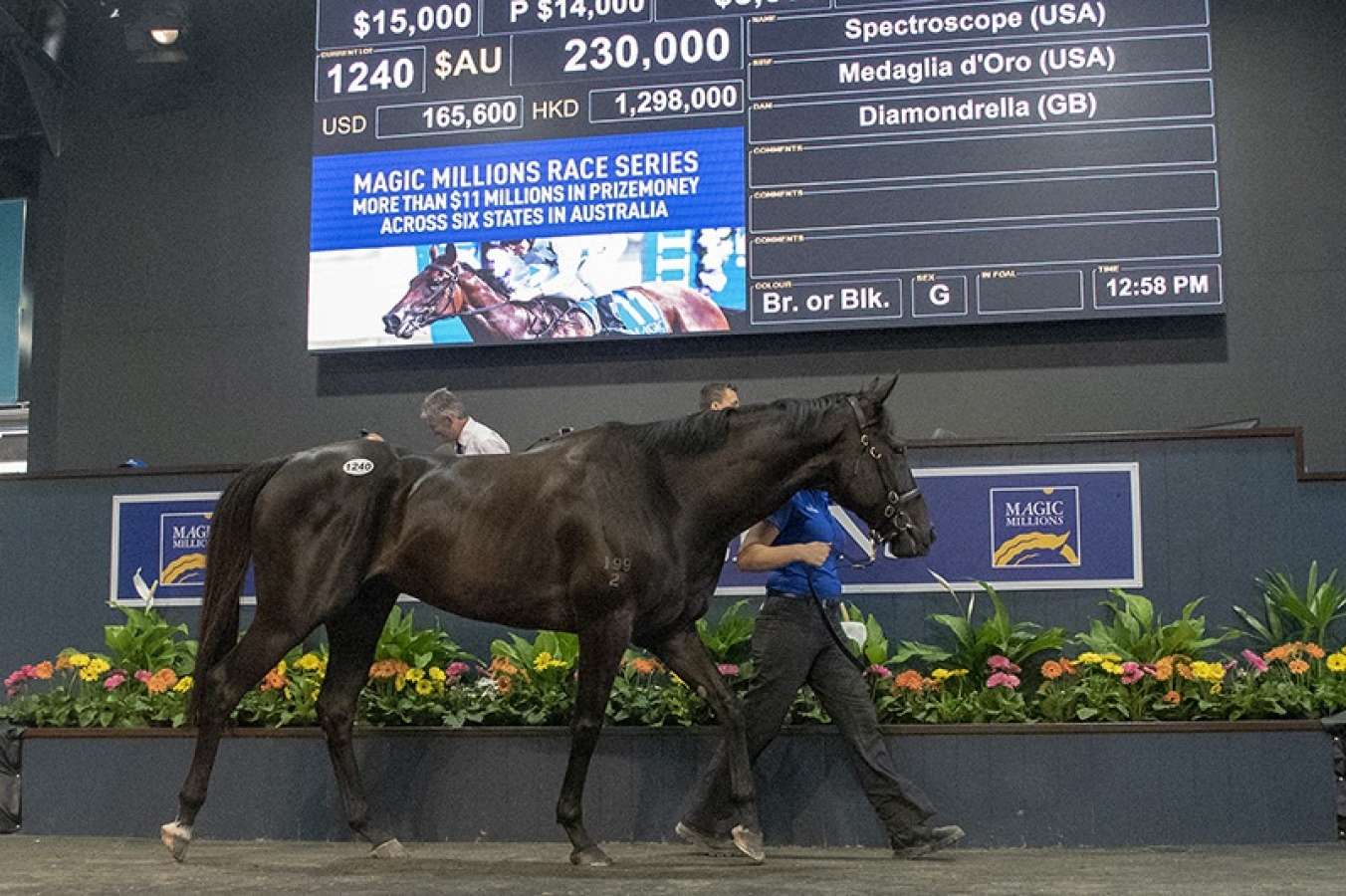 Magic Millions 2019 hits record mark on the Gold Coast