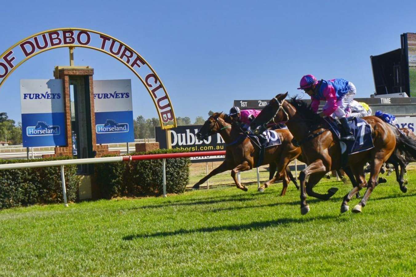 Racing NSW confirms The Big Dance qualifying races