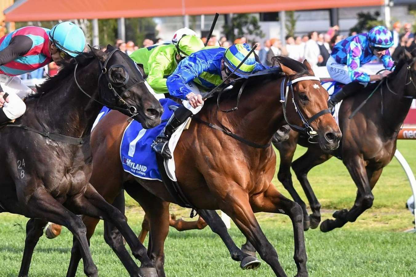 Golden Eagle an 'enticing' target for Toorak Handicap winner Attrition