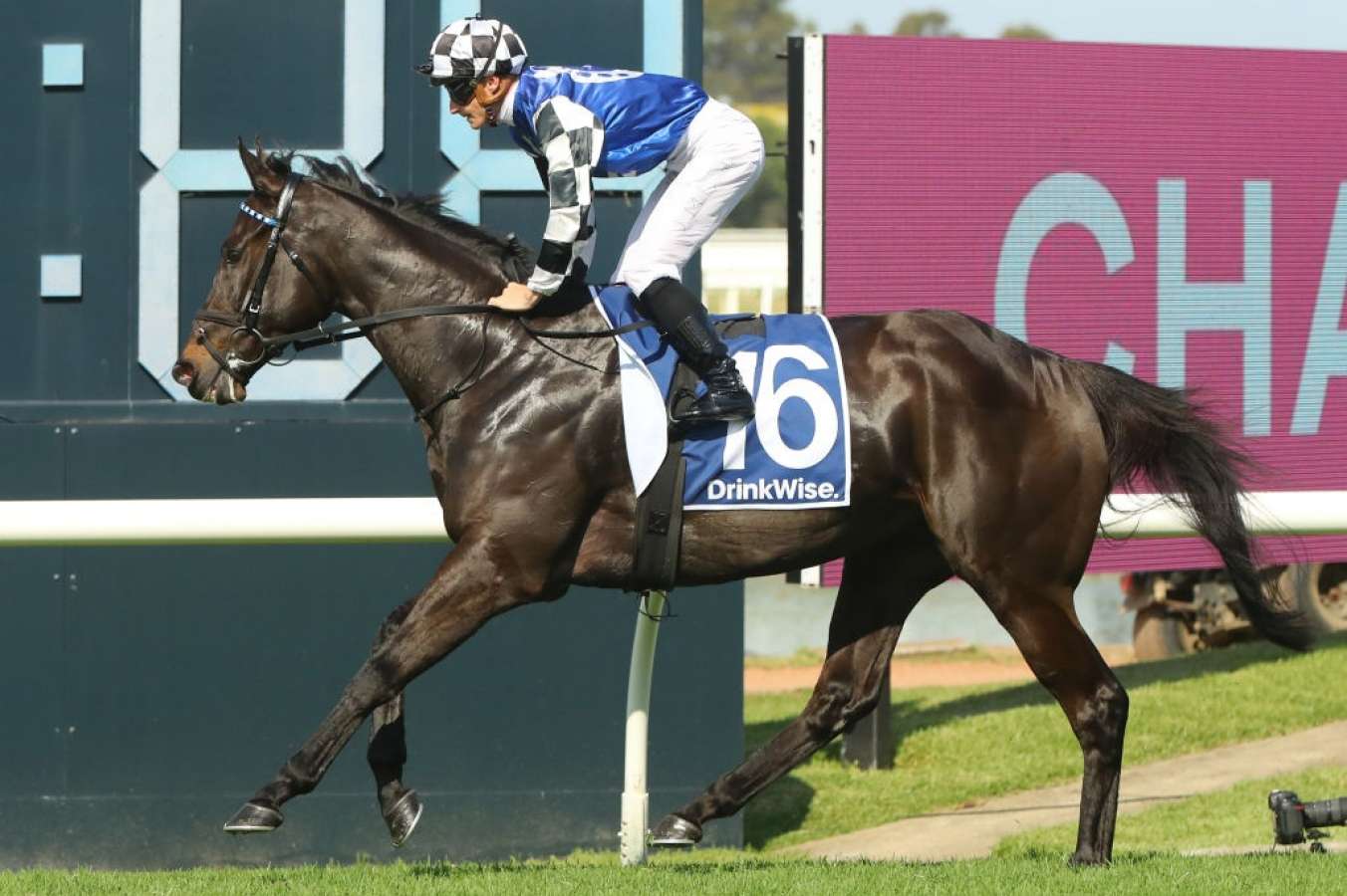 Doncaster Mile an unlikely target for English trainer William Haggas