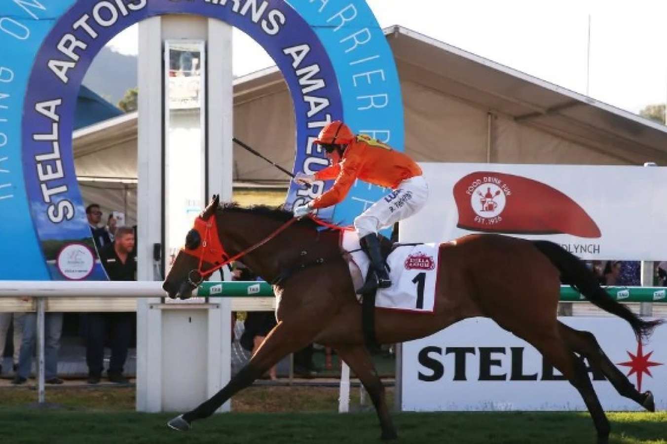 Huge weight fails to stop FNQ champion The Harrovian