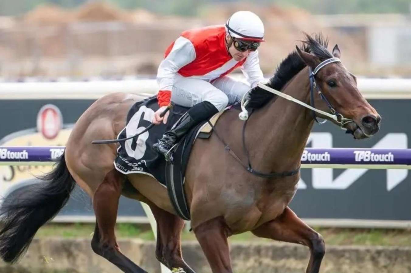 Entain Australia calls time on Ladbrokes Racing Club