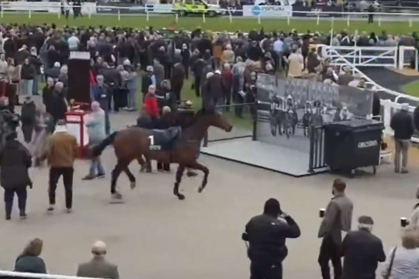 Things You Might Have Missed - March 31