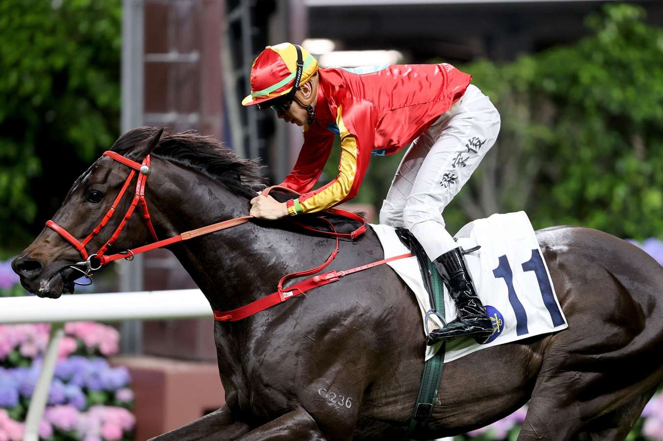 Manfred Man strikes with Encountered at Happy Valley