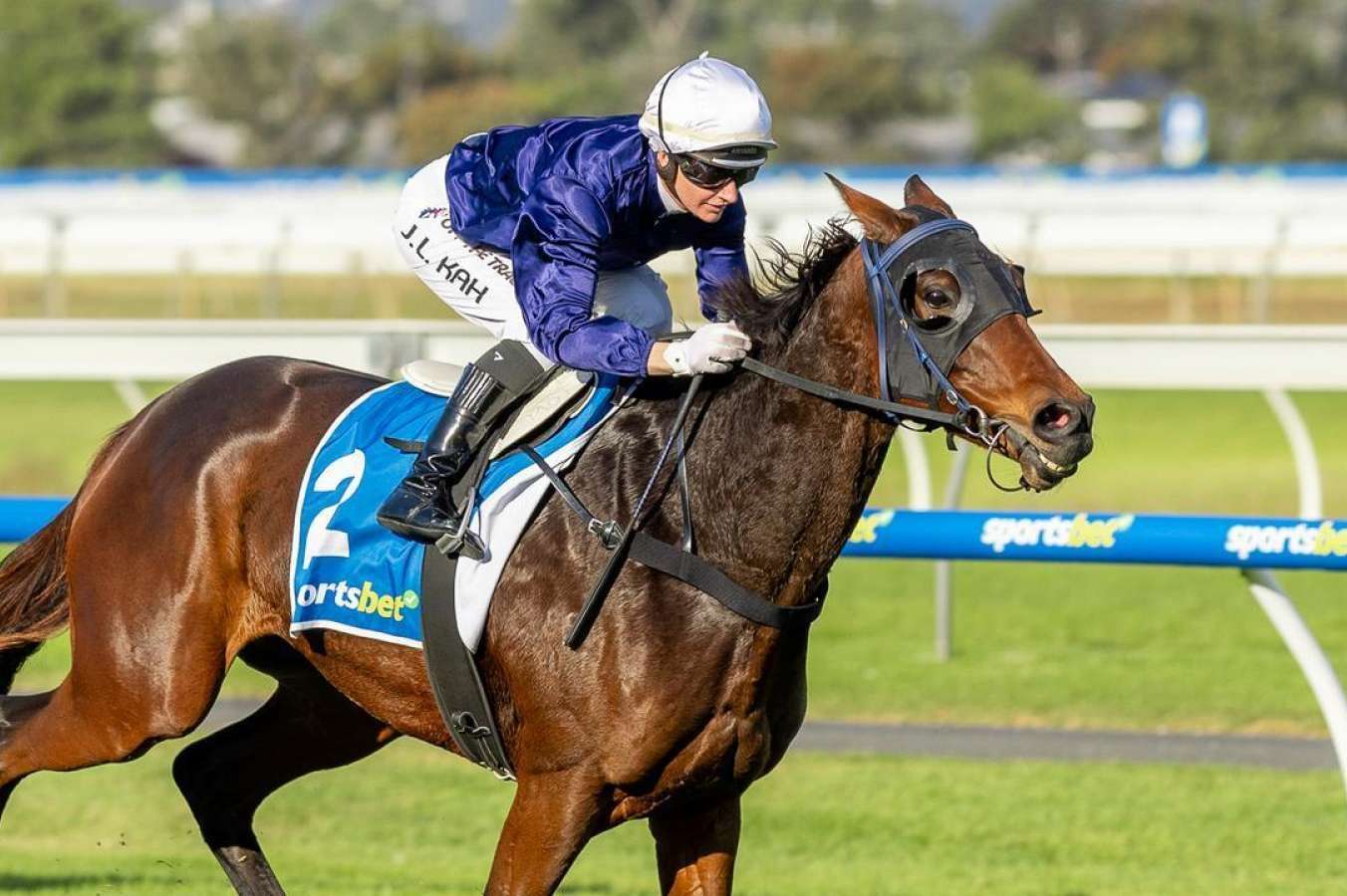 Smart mare The Map on Melbourne Cup after impressive win at Morphettville