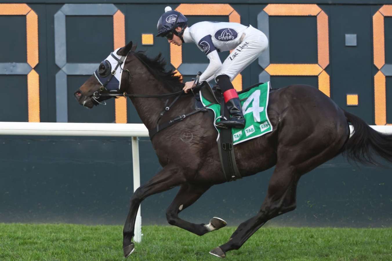 Freedman galloper eyes Mlebourne Cup day return after winning star ...