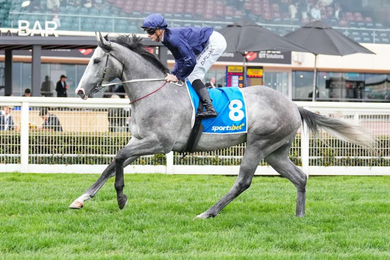 2025 Eskimo Prince Stakes: Public Attention to make return