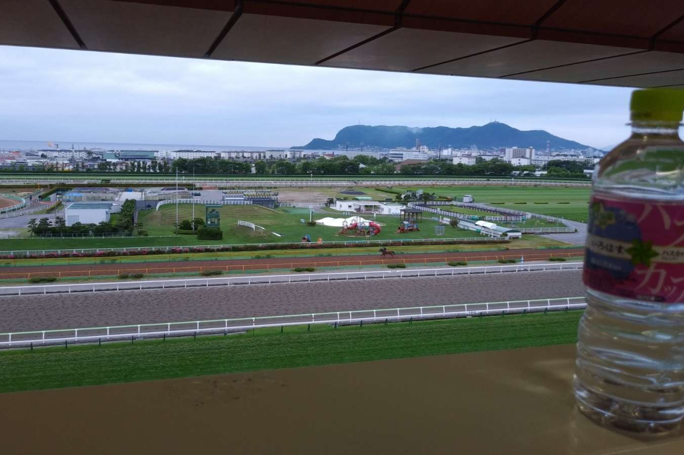 Relatively rare 'star sighting: Zoustar filly to debut in Japan