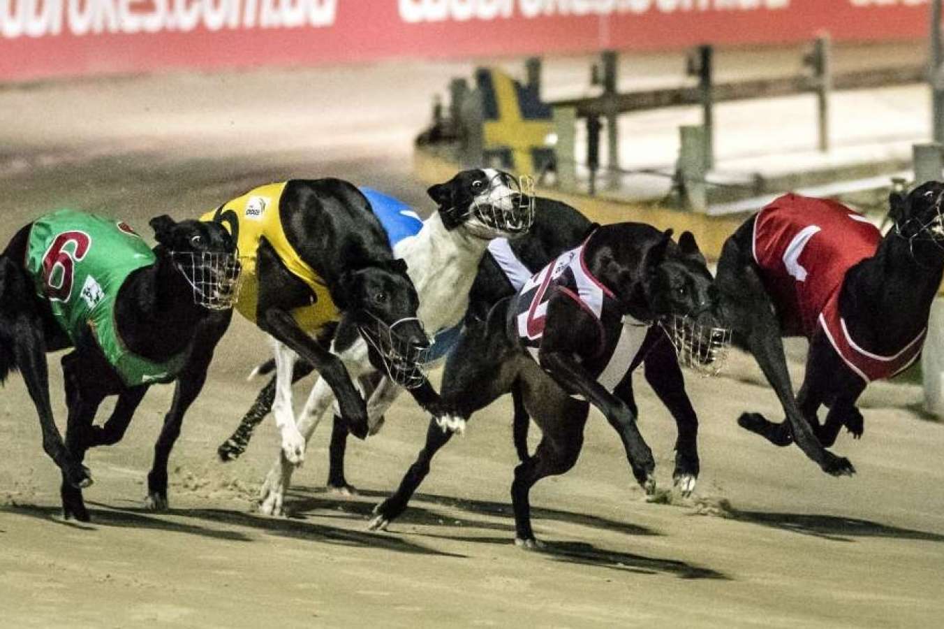 Million Dollar Chase: Runner-by-runner