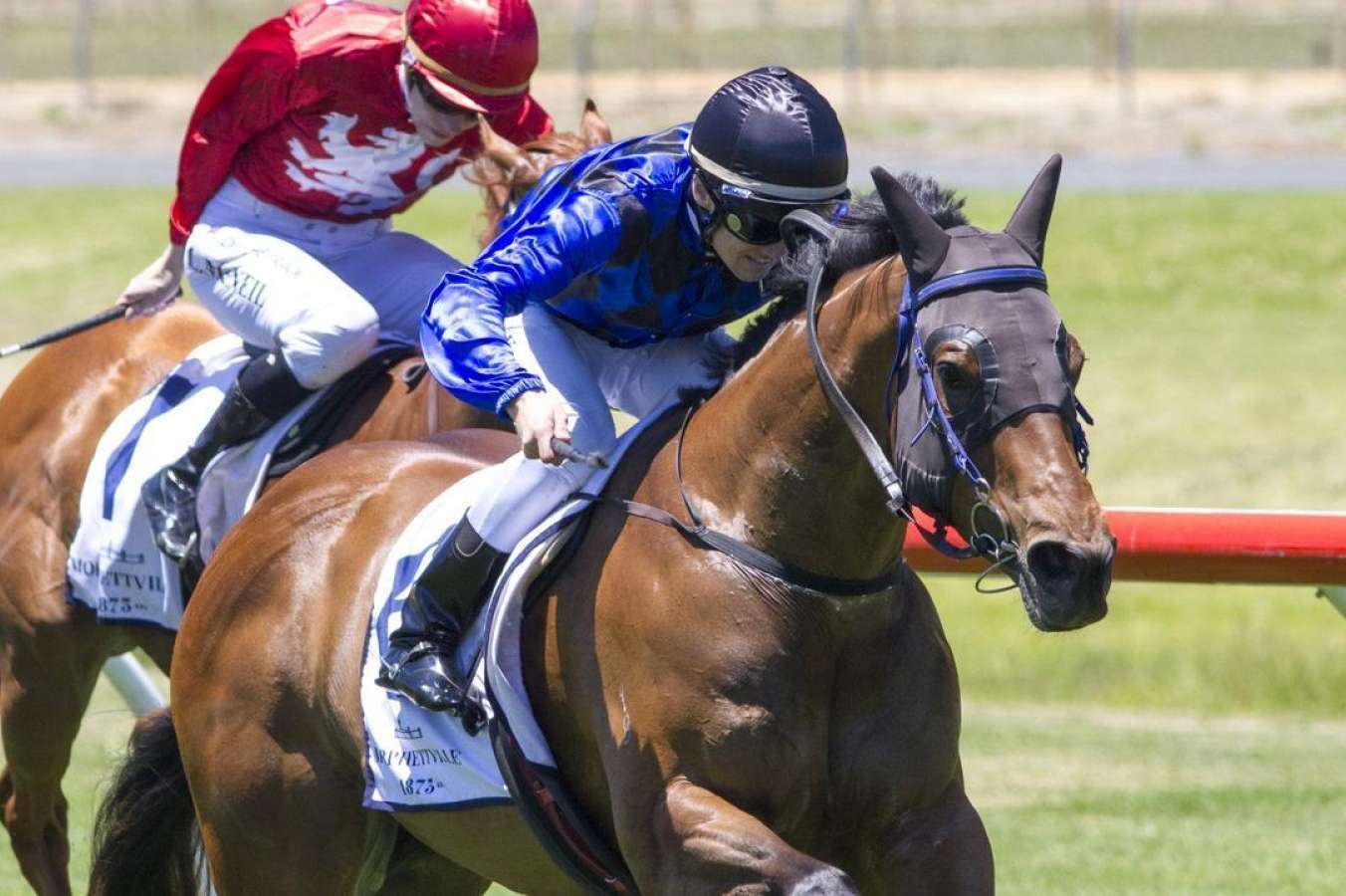 Racing in South Australia is set to receive a much needed funding boost ...
