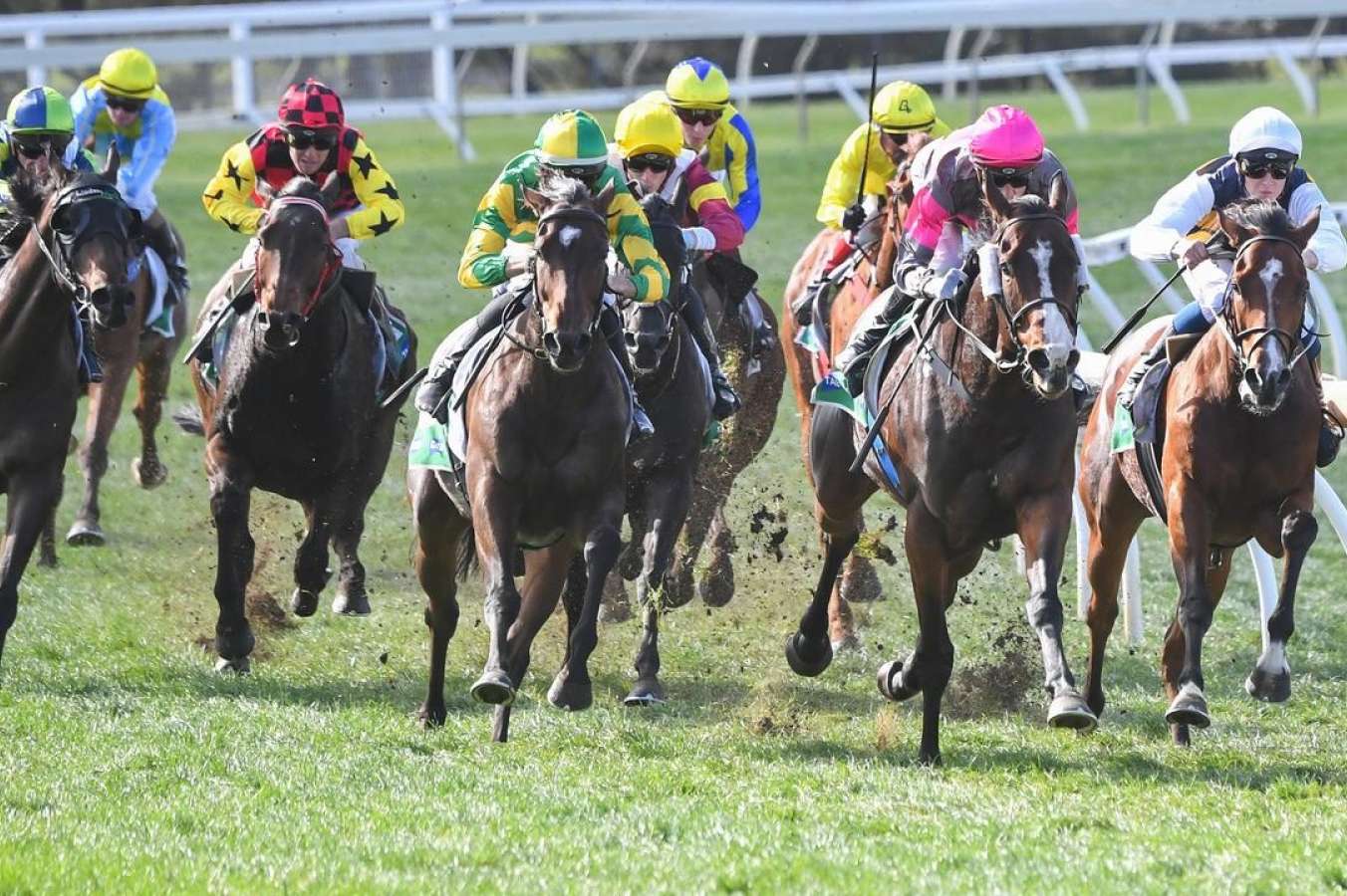 Warrnambool carnival track bias leaves punters, trainers and jockeys fuming