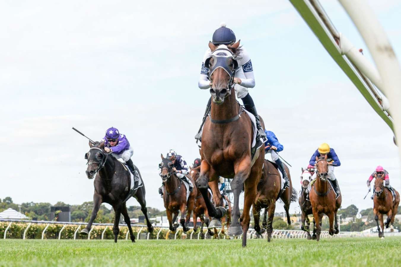 Well-fancied flops and forgives from Saturday horse racing [March 25]