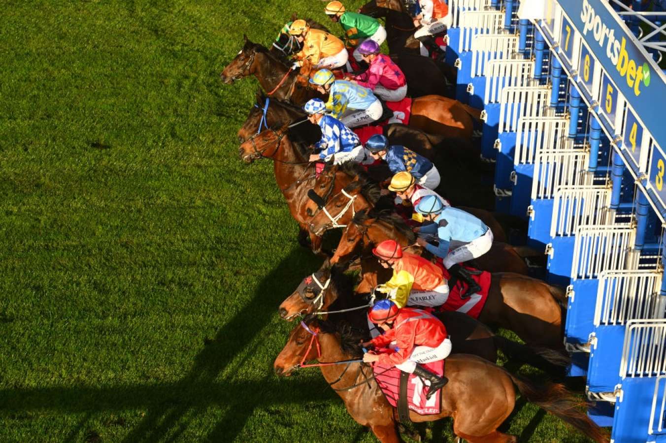 WATCH LIVE: Racing.com feed on Racenet, Punters this weekend