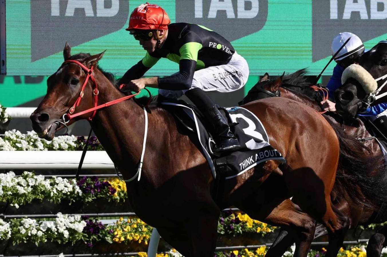 Everest winner cruises in barrier trial ahead of G1 campaign