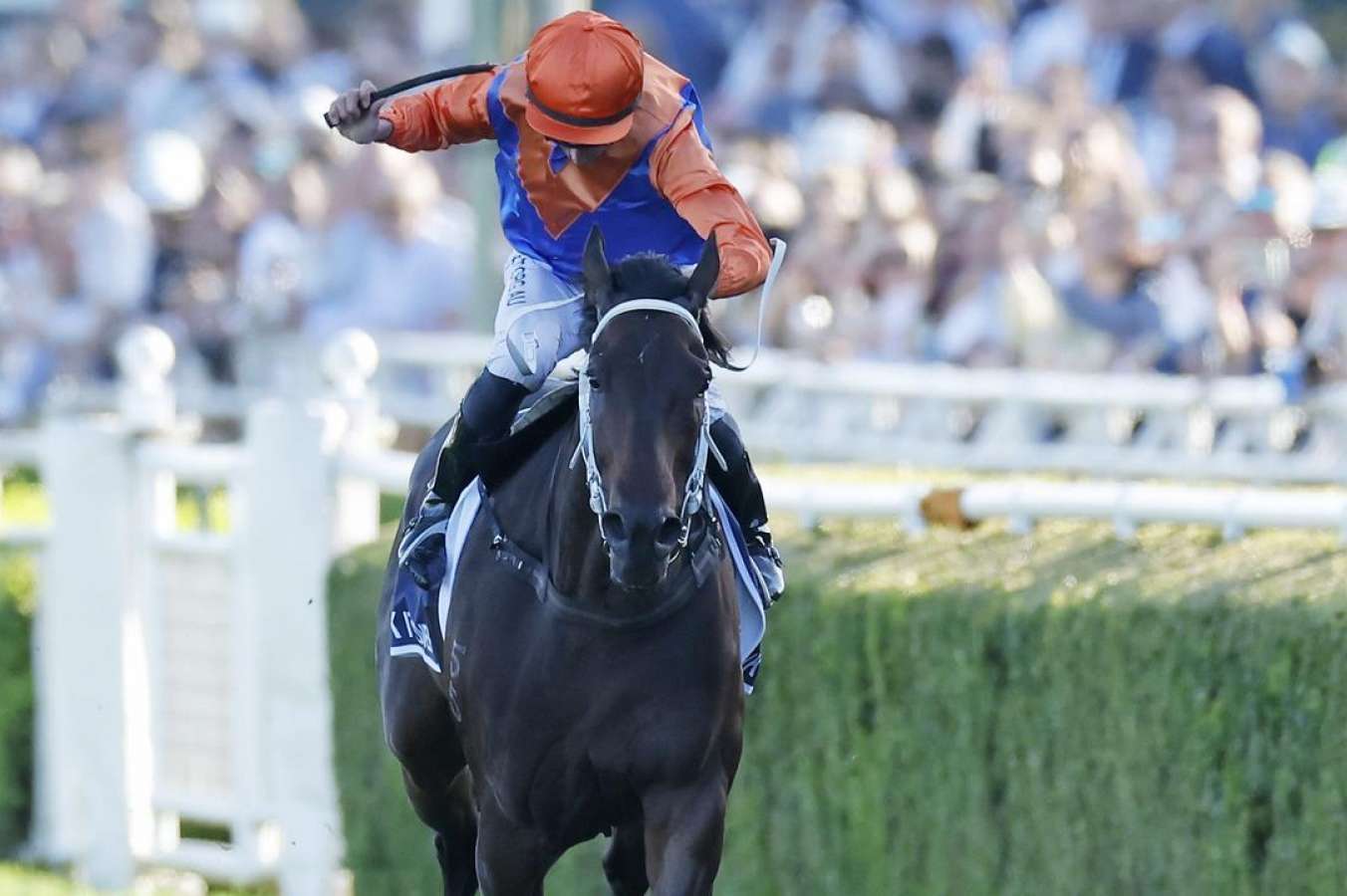 Winx Stakes: Runner-by-runner analysis