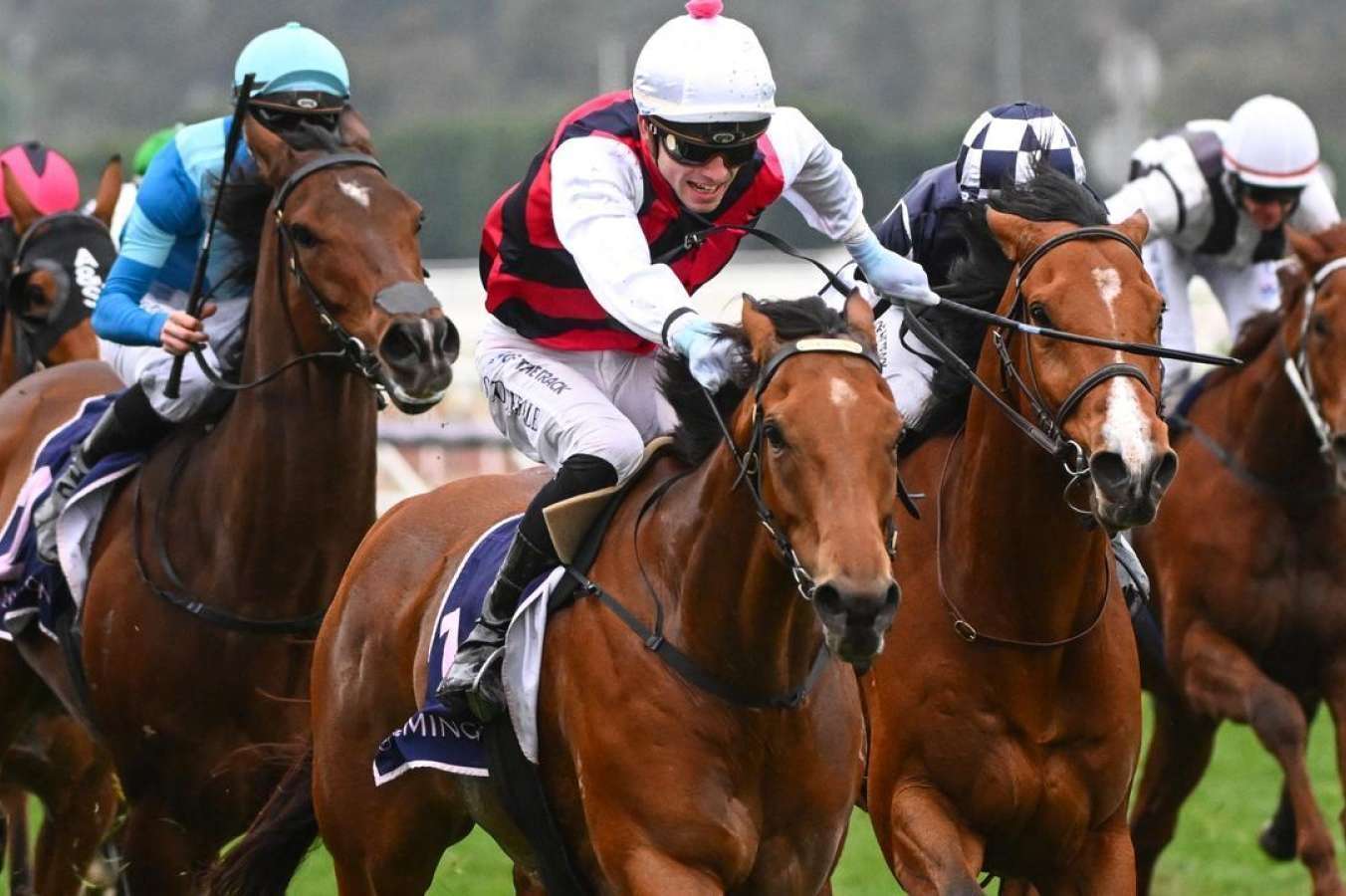 Robbie Griffiths - King can dethrone favourite Munhamek