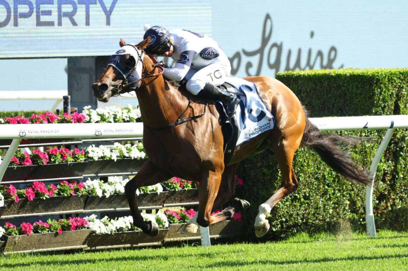 Robusto caps a big day for trainer Bjorn Baker and Darby Racing