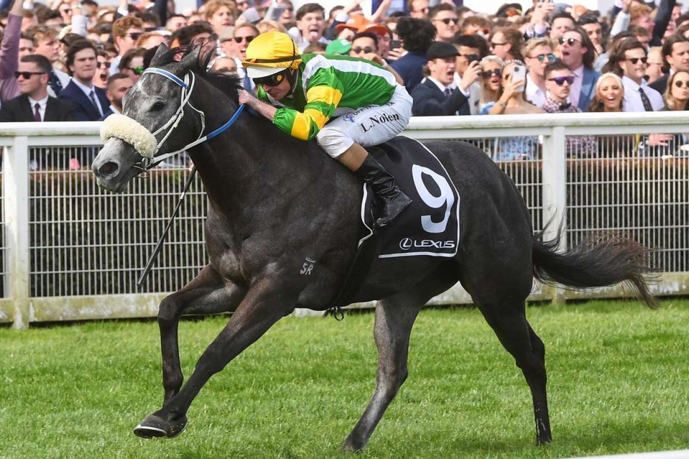 TJ Smith Stakes Odds - 2025