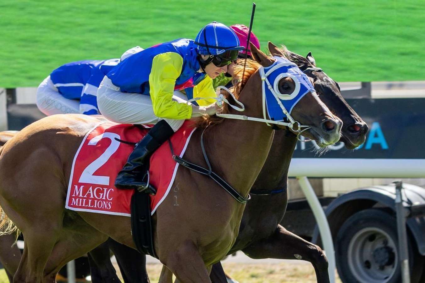 Storm lifts Jollys' spirits after setback to stable star